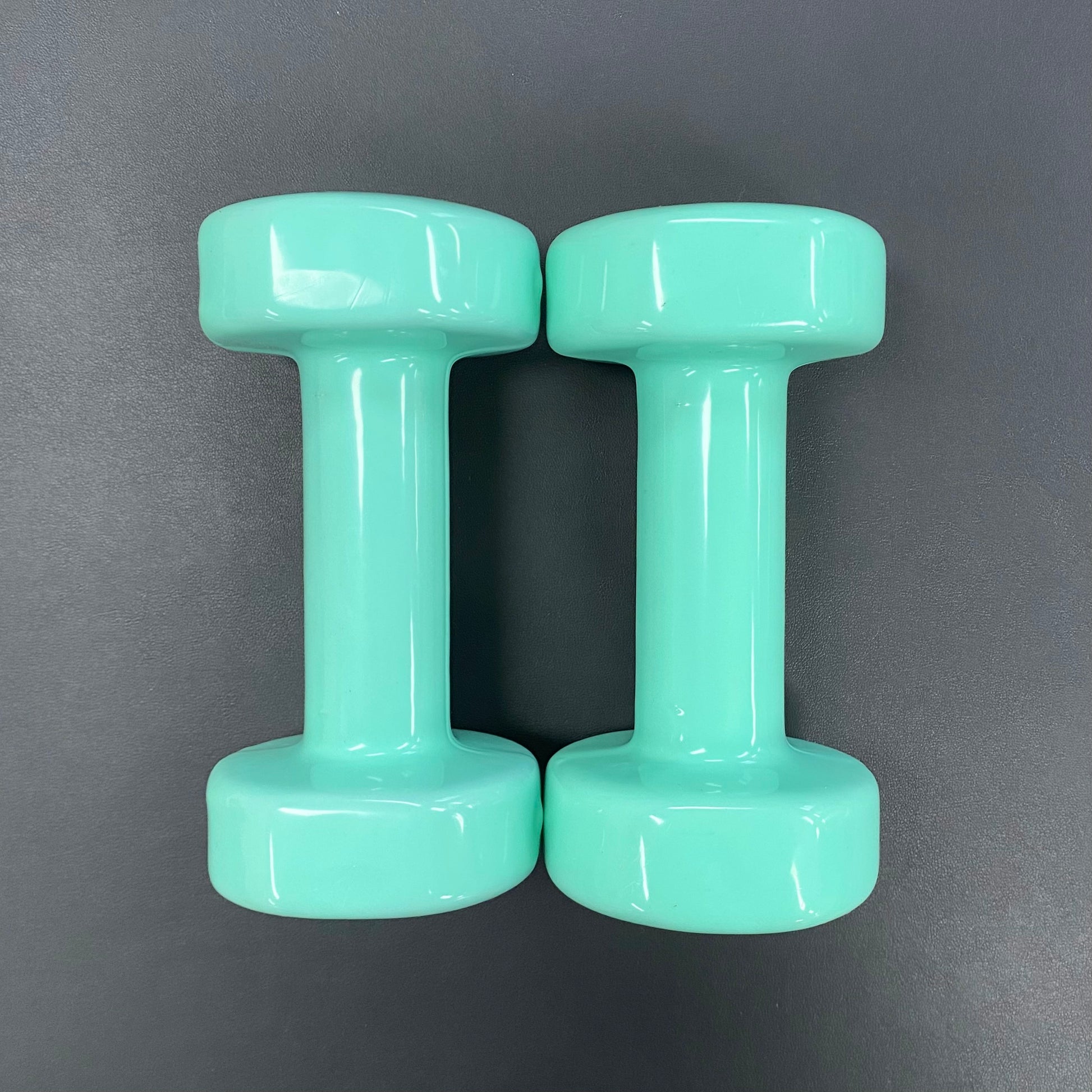 3kg Hand Held Weights- One pair – LOPE Pilates Equipment